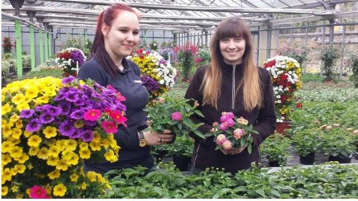 Tage der offenen GärtnereiStart der Sommerblumensaison bei Engel ...